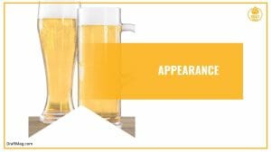 Michelob Golden Light Beer: Rich Light Lager With Adjuncts