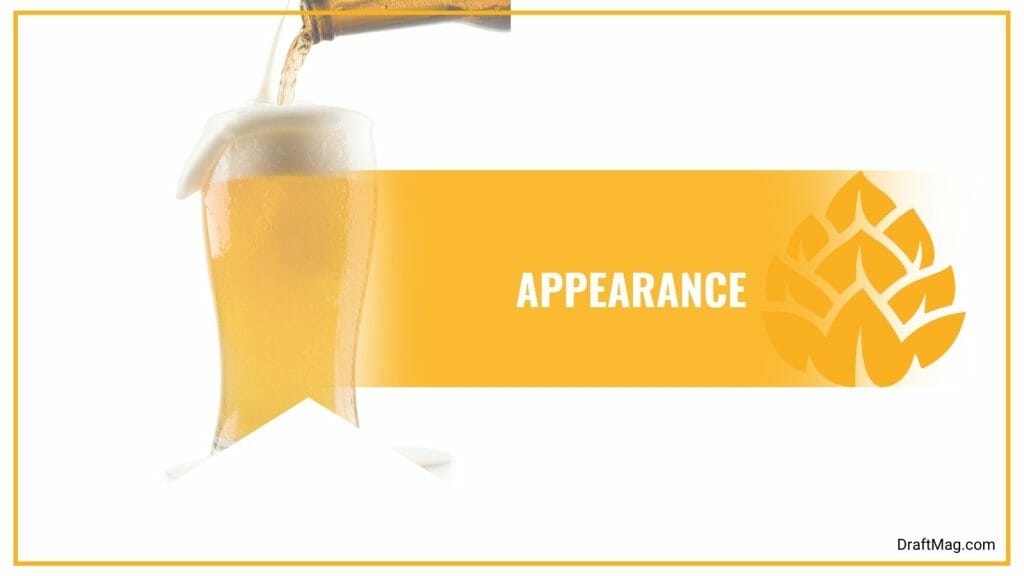 Miller Chill Review: A Light Lime Lager for Summer Days