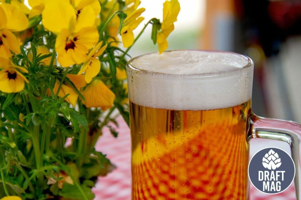 Modelo Mango Chelada: A Review of This Unique Mexican Fruit Beer