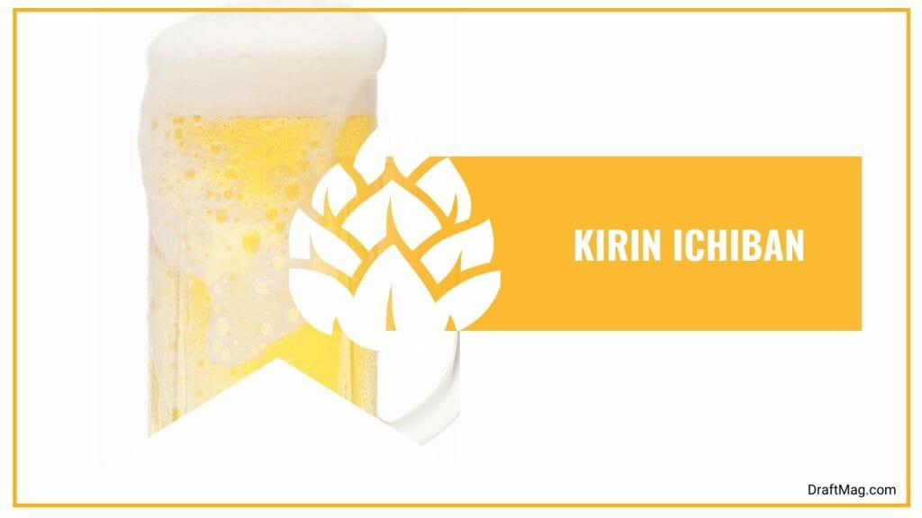 15 Japanese Beer Brand: Must-Try Choices For All Beer Lovers