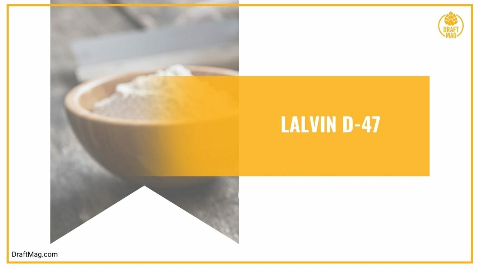 11 Best Yeast for Mead Making: A Complete Guide for Brewers