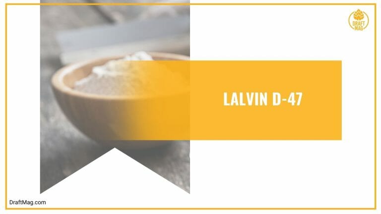 11 Best Yeast for Mead Making: A Complete Guide for Brewers