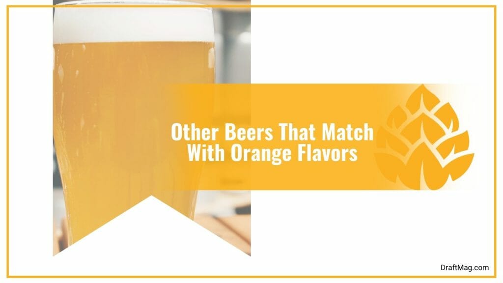 Beer With Orange Slice: Why Do We Add Them to Beer?