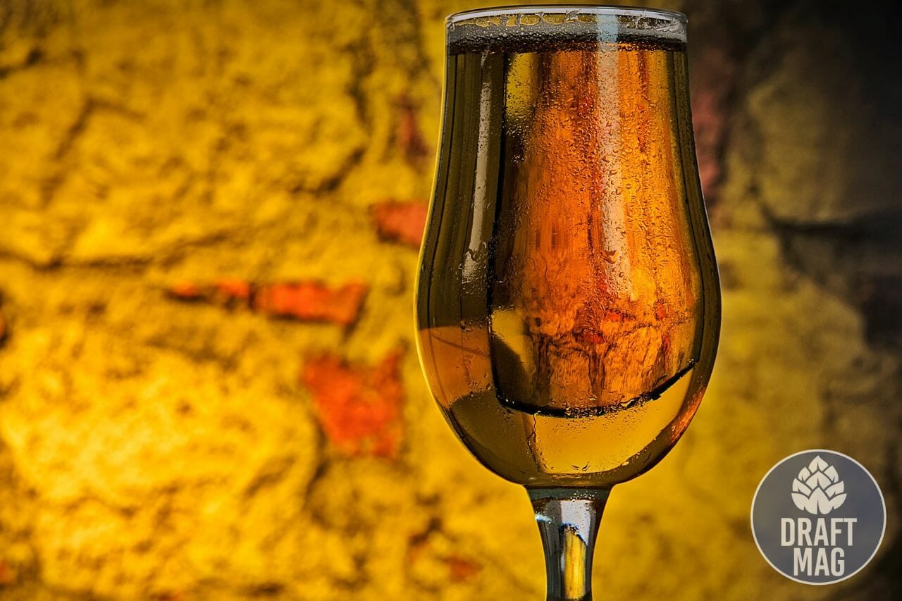 Warka Beer Review: Simple Pale Lager for All Beer Lovers