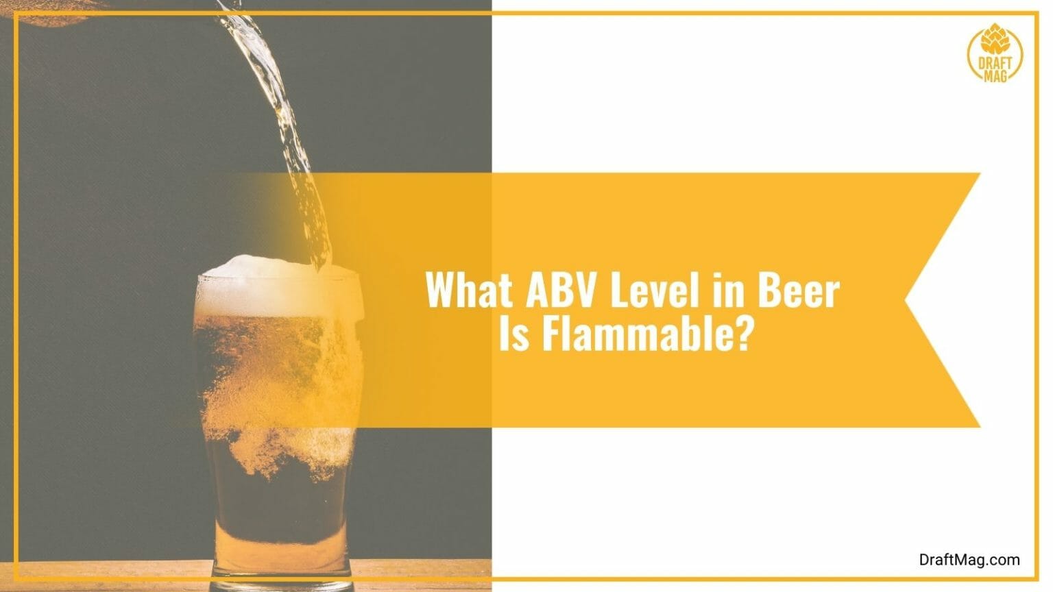Is Beer Flammable and Will It Catch Fire? Read This To Know
