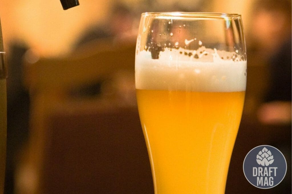 Ale Beer Reviews - Draft Mag