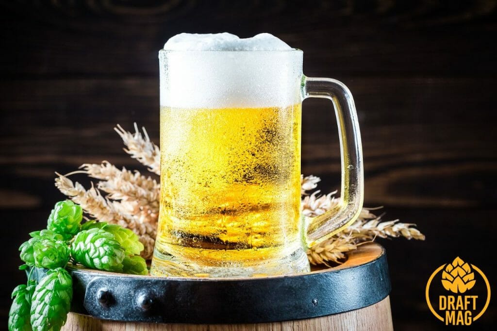 How Many Ounces in a Pint of Beer? A Detailed Beer Size Overview