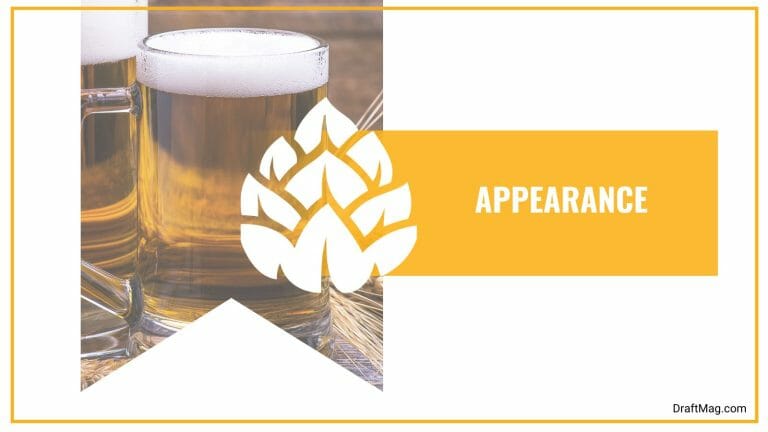 Bombshell Blonde Beer Review: Great Beer for a Hot Day