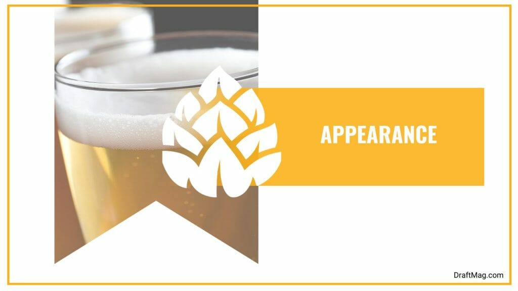 Buckle Bunny Beer Review: A Crisp and Clean Cream Ale