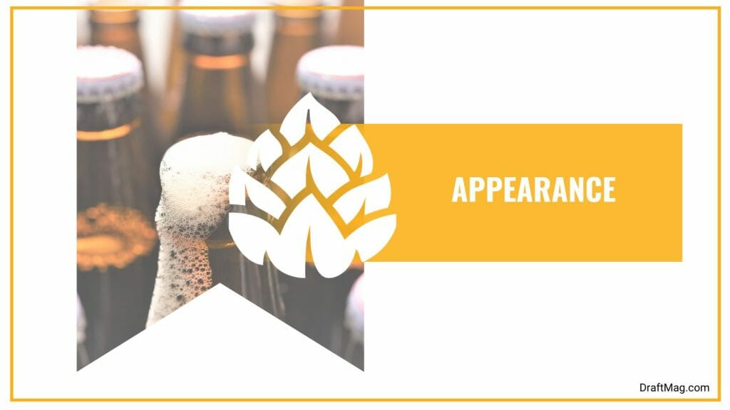 Budweiser Copper Lager Review: Sweet and Chocolatey