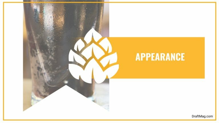 Sam Adam Chocolate Bock Review: A Sweet and Smooth Brew