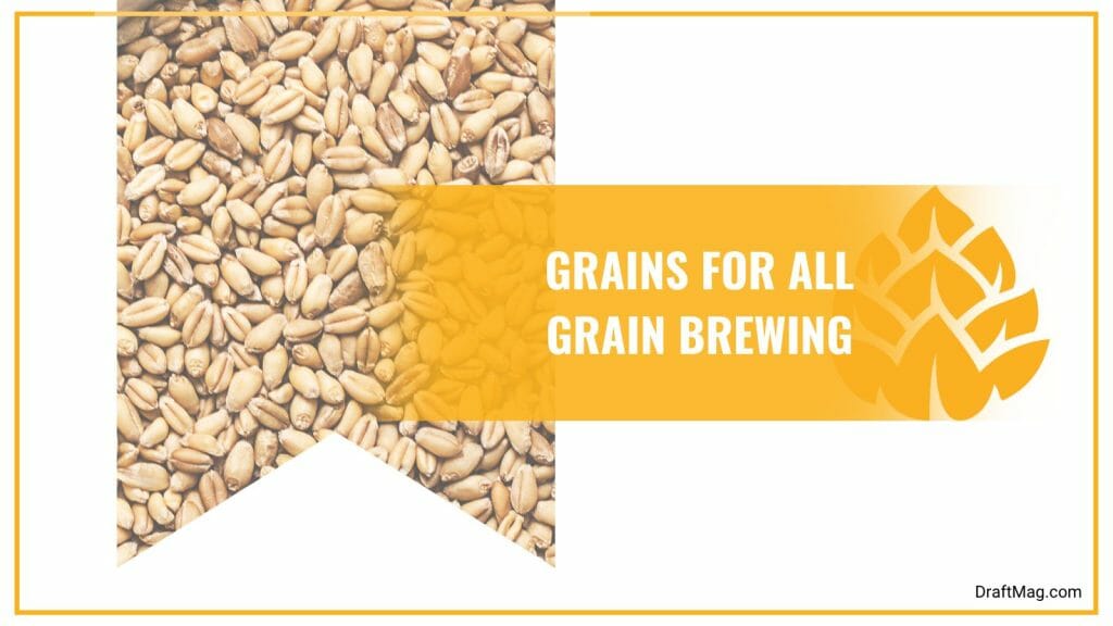 Mash Water to Grain Ratio: How To Calculate for Beer Brewing