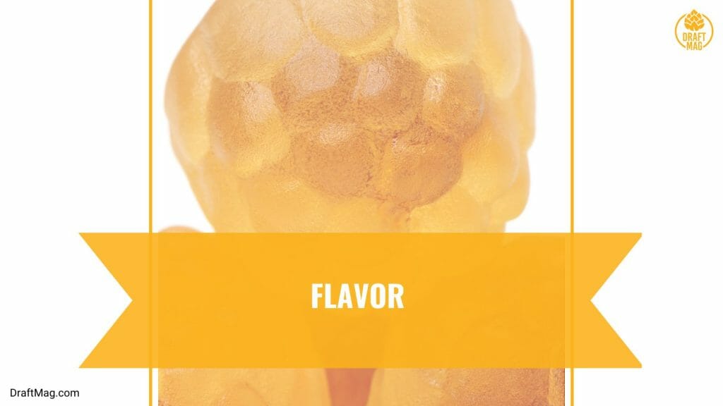 Gummy Worms Beer Review: Candied Ale Bursting With Fruits