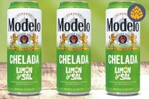 Modelo Beer (History, Types) - Draft Mag