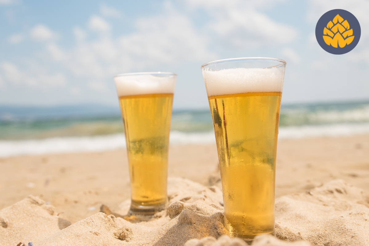 Modelo Beer (History, Types) - Draft Mag