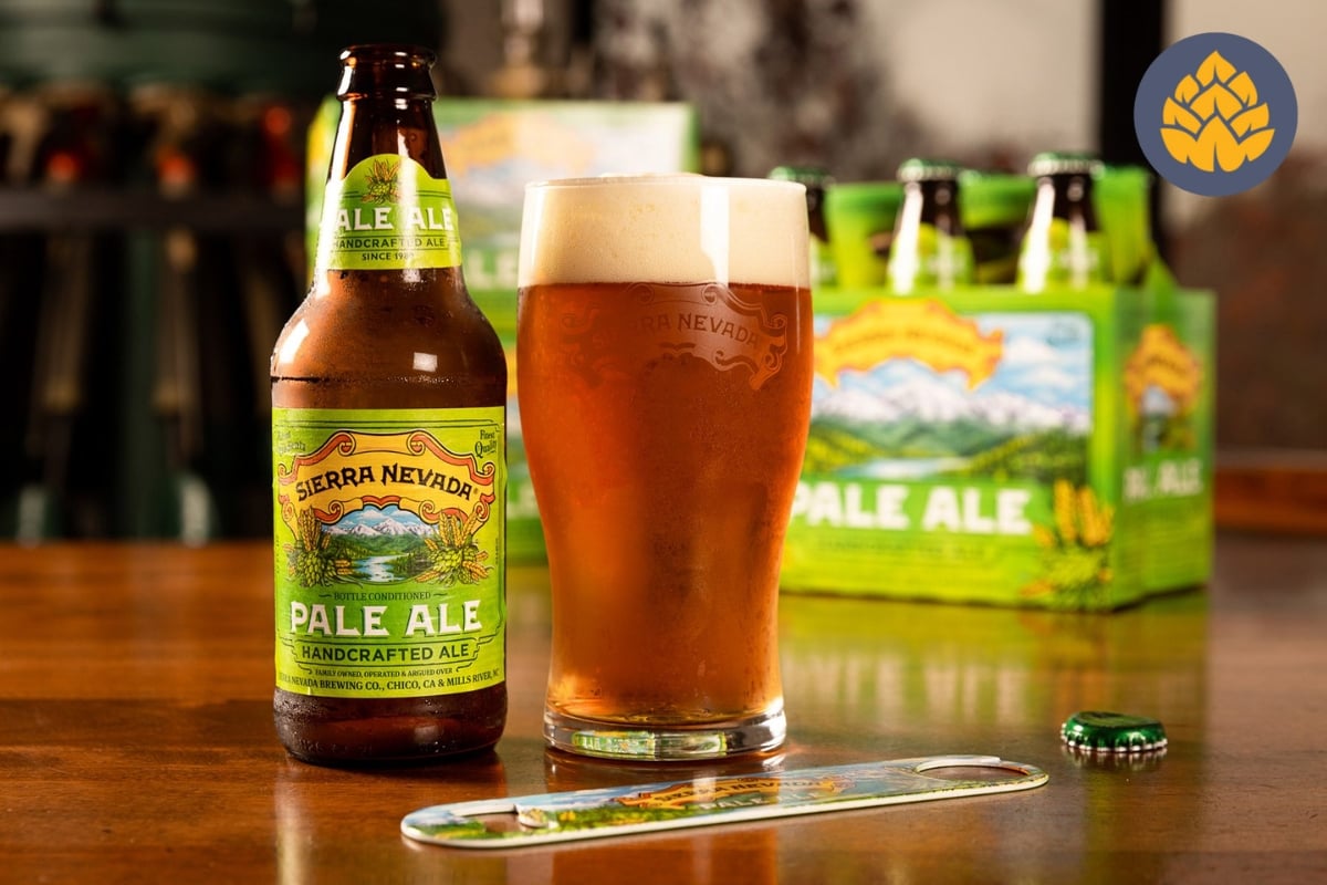 Beer Alcohol Content (All you Need to Know) - Draft Mag