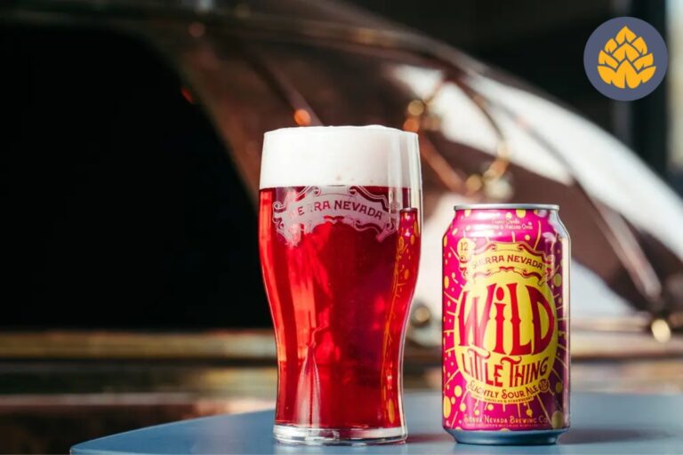 Beer Alcohol Content (All you Need to Know) - Draft Mag